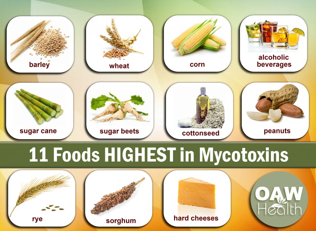 11 Foods Highest in Mycotoxins