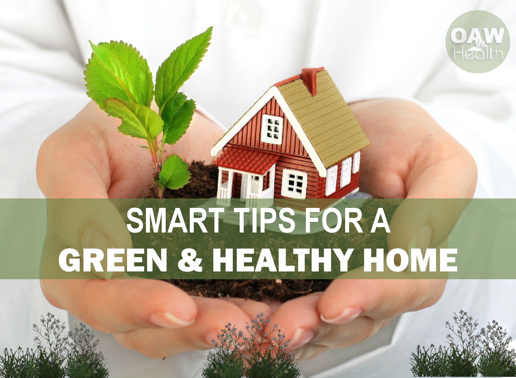 Smart Tips for a Green and Healthy Home - OAWHealth