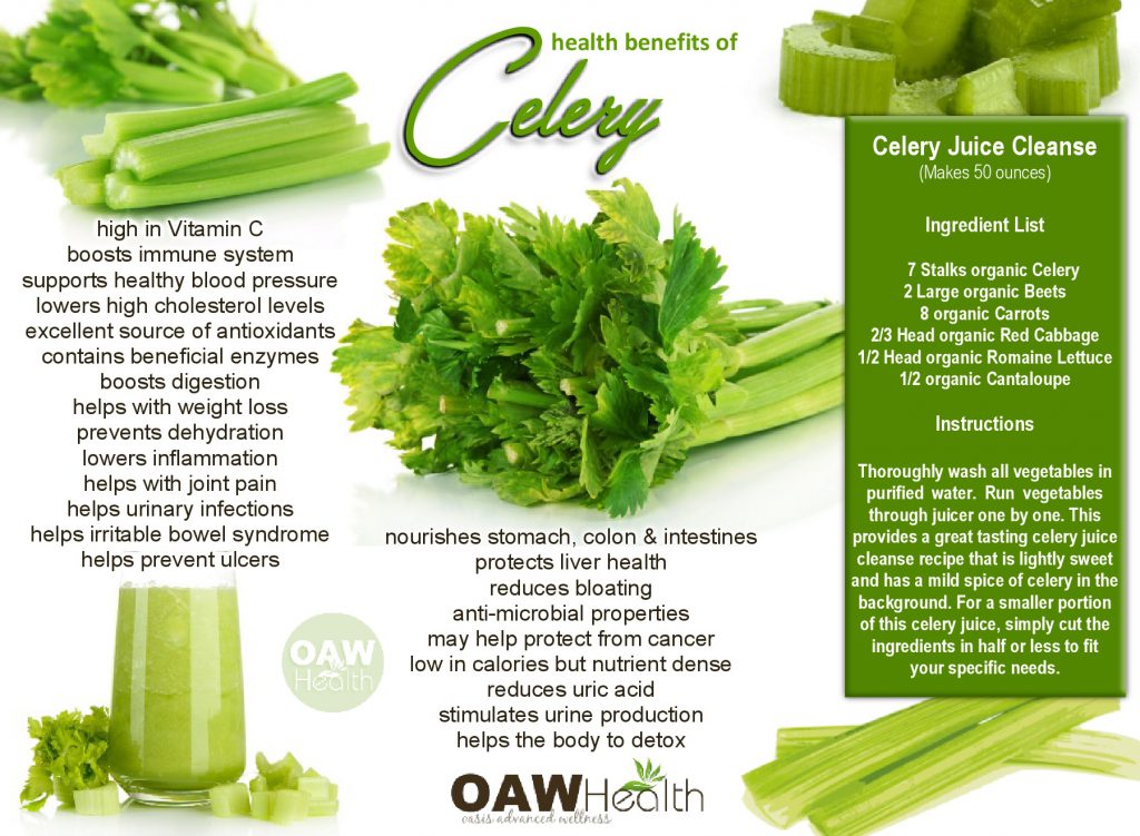 Health Benefits Of Eating Celery Leaves XSRJ Health Benefits Of Eating Celery Leaves XSRJ